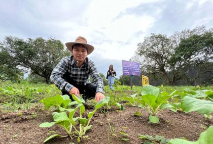 Jose Maria College Foundation Inc. of Davao City | Assured, Consistent ...